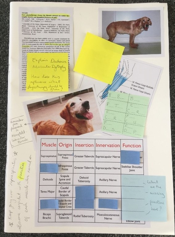 Reviewing your learning