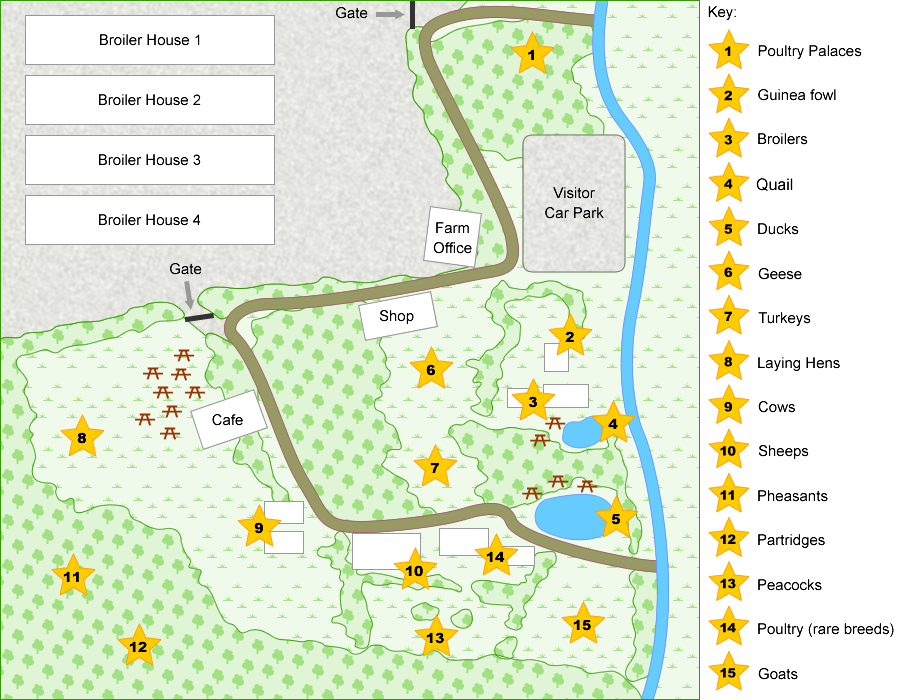 Salmonella Outbreak Investigation