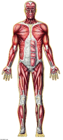 University of Nottingham, School of Life Sciences