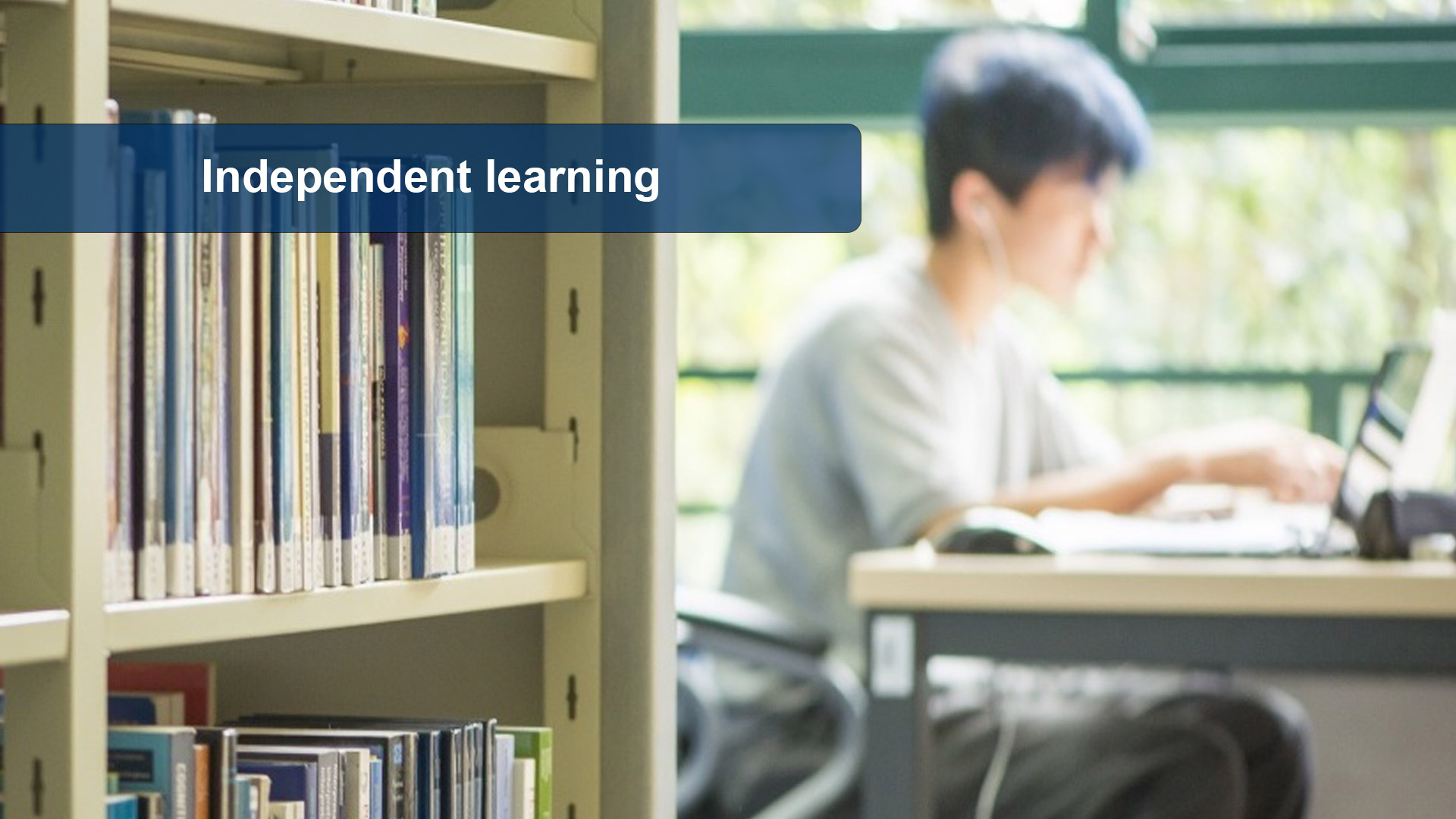 Learning and reflecting