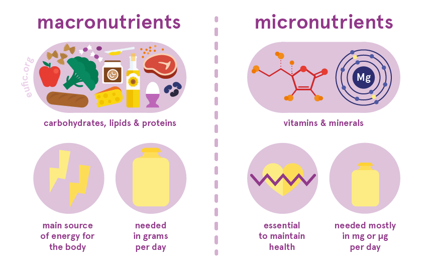 Nutrients and their sources