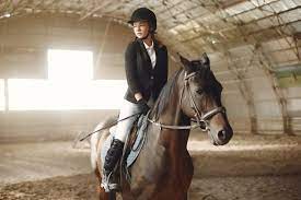 Equine orthopaedic exam 3 (D. Rutherford)