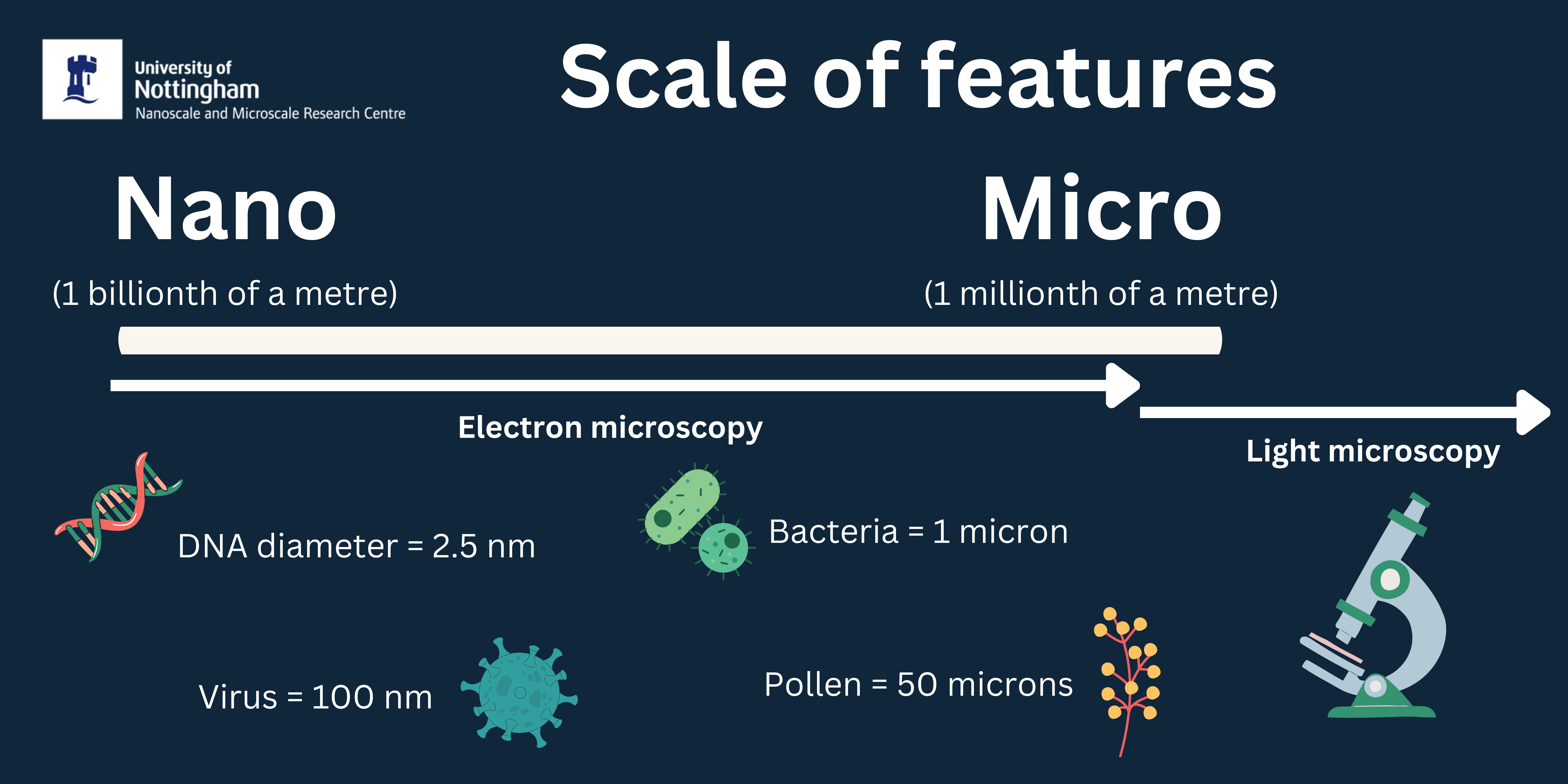 nmRC Microscopy Flow Chart